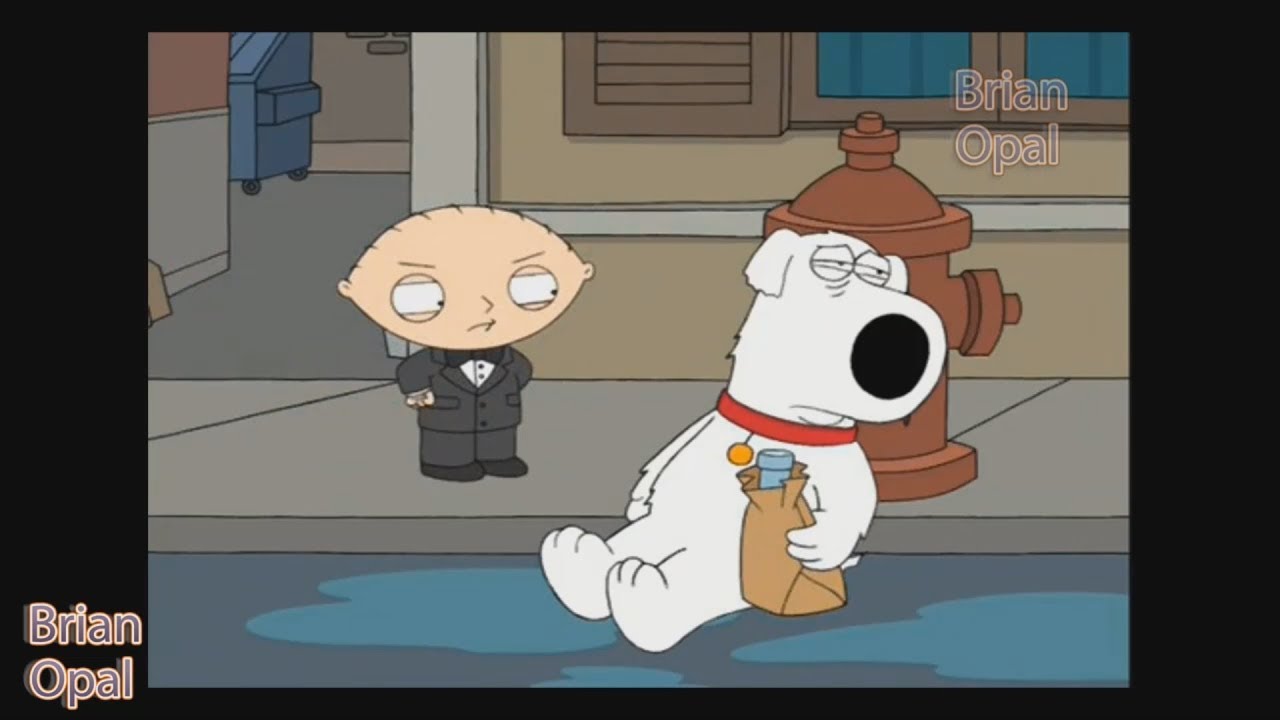 Family Guy - Brian was drunk on the street - YouTube