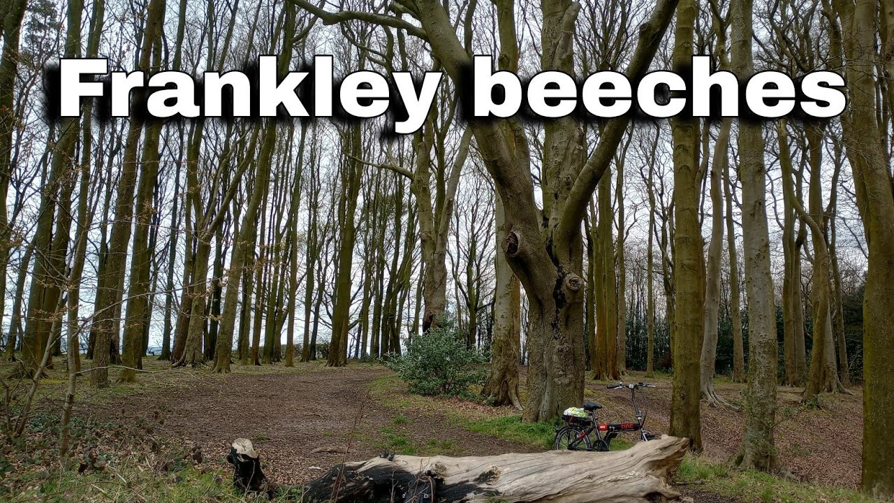 A explore of frankley beeches & Bartley reservoir - YouTube