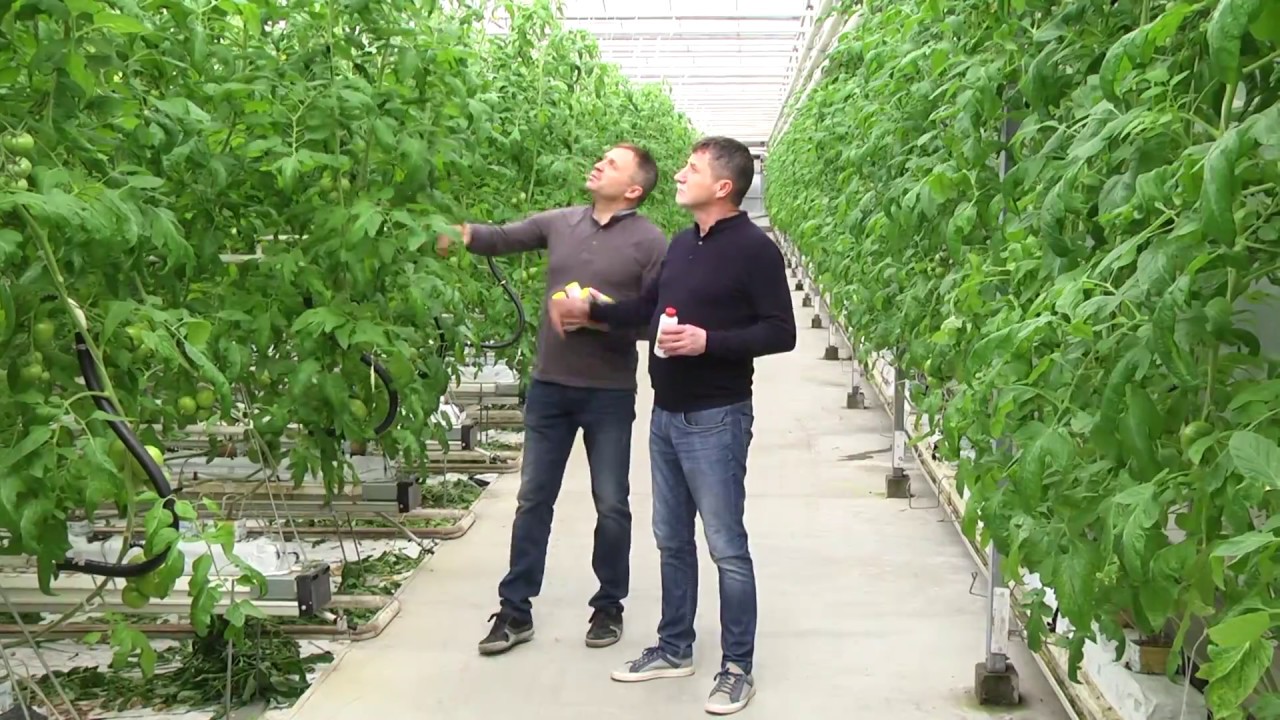 Dariusz Florek i Krzysztof Florek, Gospodarstwo Ogrodnicze „Florek” s.c ...