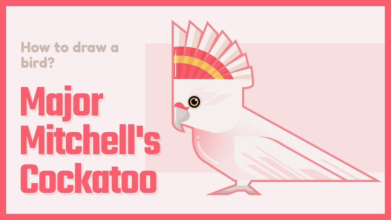 How to draw a bird - Major Mitchell's Cockatoo? Easy drawing | Animal ...
