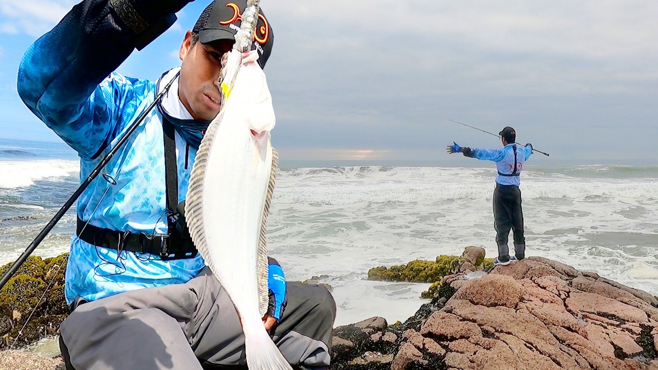 Pescando Lenguados en roca con carnada - Mejia: lugar de grandes ...