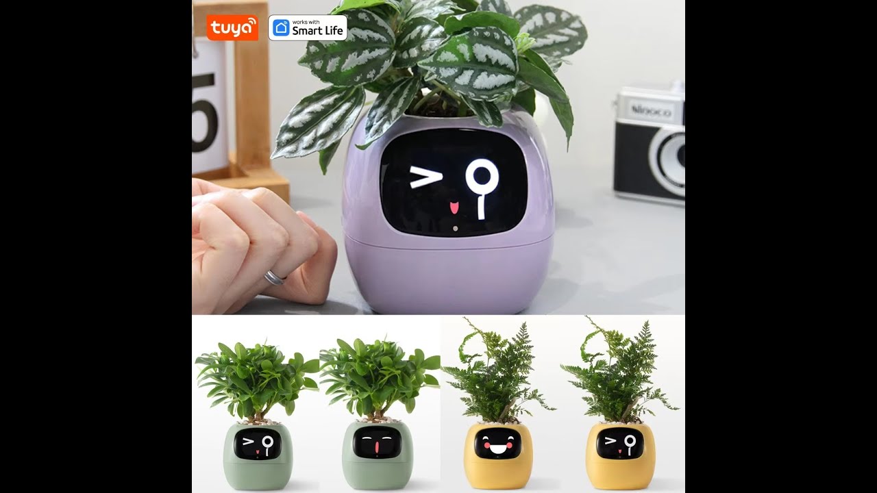 Tuya Ivy Smart Planter - YouTube