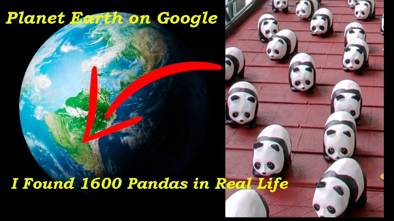 I Found 1600 Pandas in Real Life On Google #planetearth #earth # ...