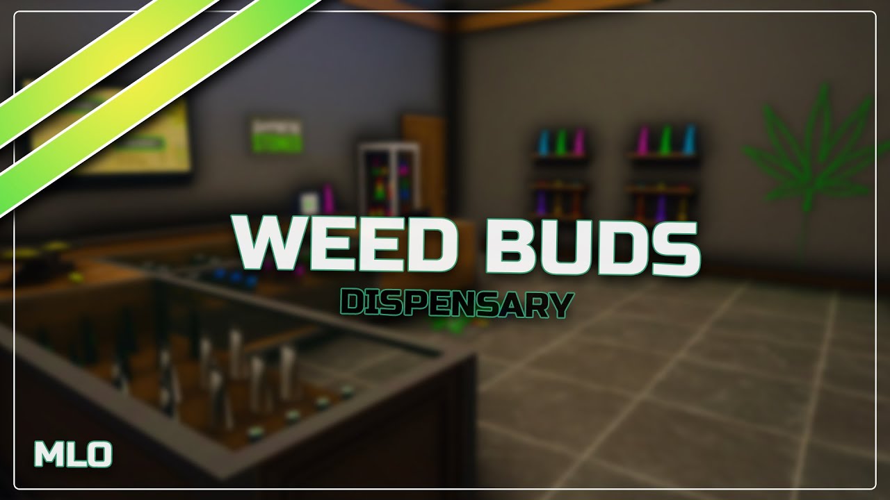 Weed Buds | FiveM Dispensary MLO | Weed Shop Interior - YouTube