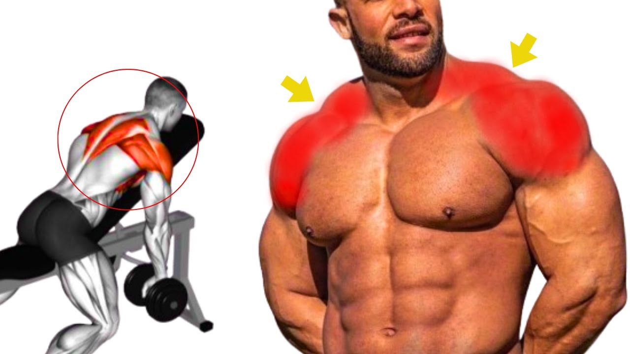 5exercises to build massive shoulders - shoulder workout - YouTube