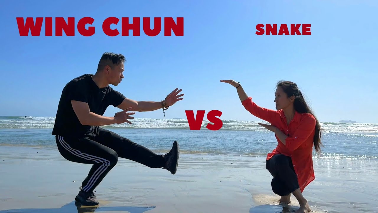 WING CHUN MASTER VS SNAKE KUNG FU / part 2 , CAO SHOU GRAB SNAKE KICK ...