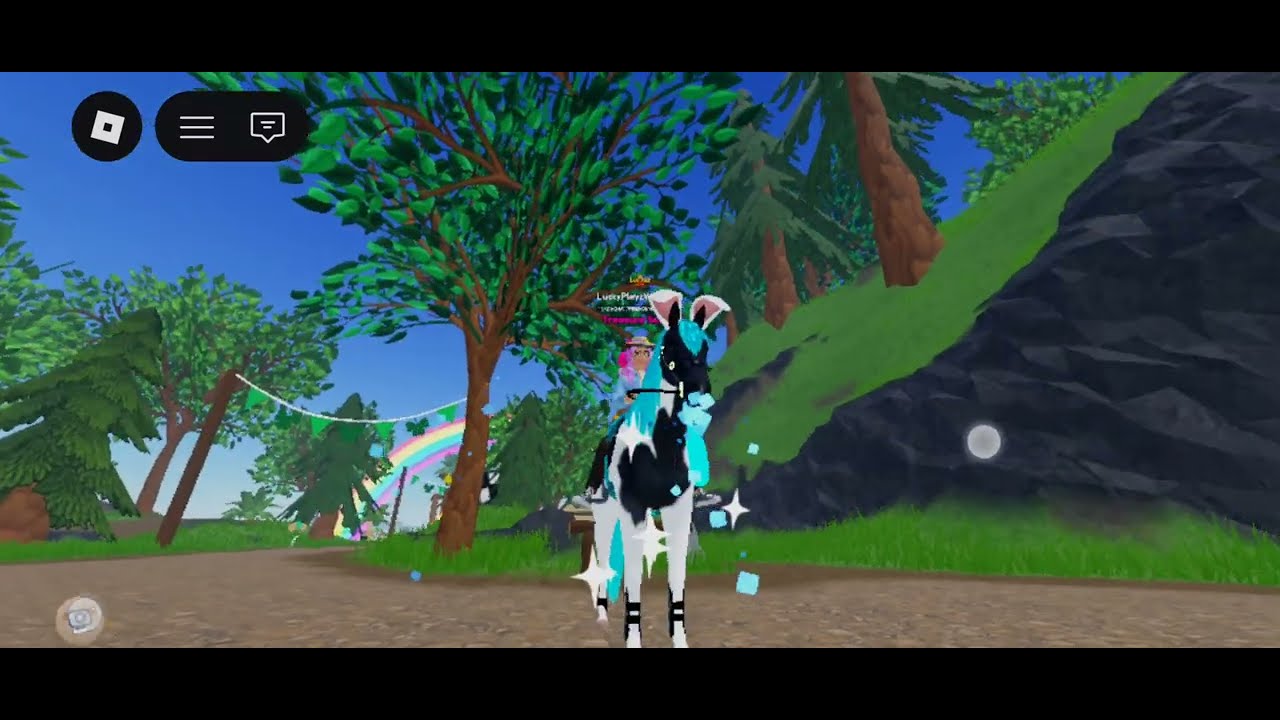 Meet My New Iuh I Swapped for, My Dream,Black Tobiano Dutchie With ...