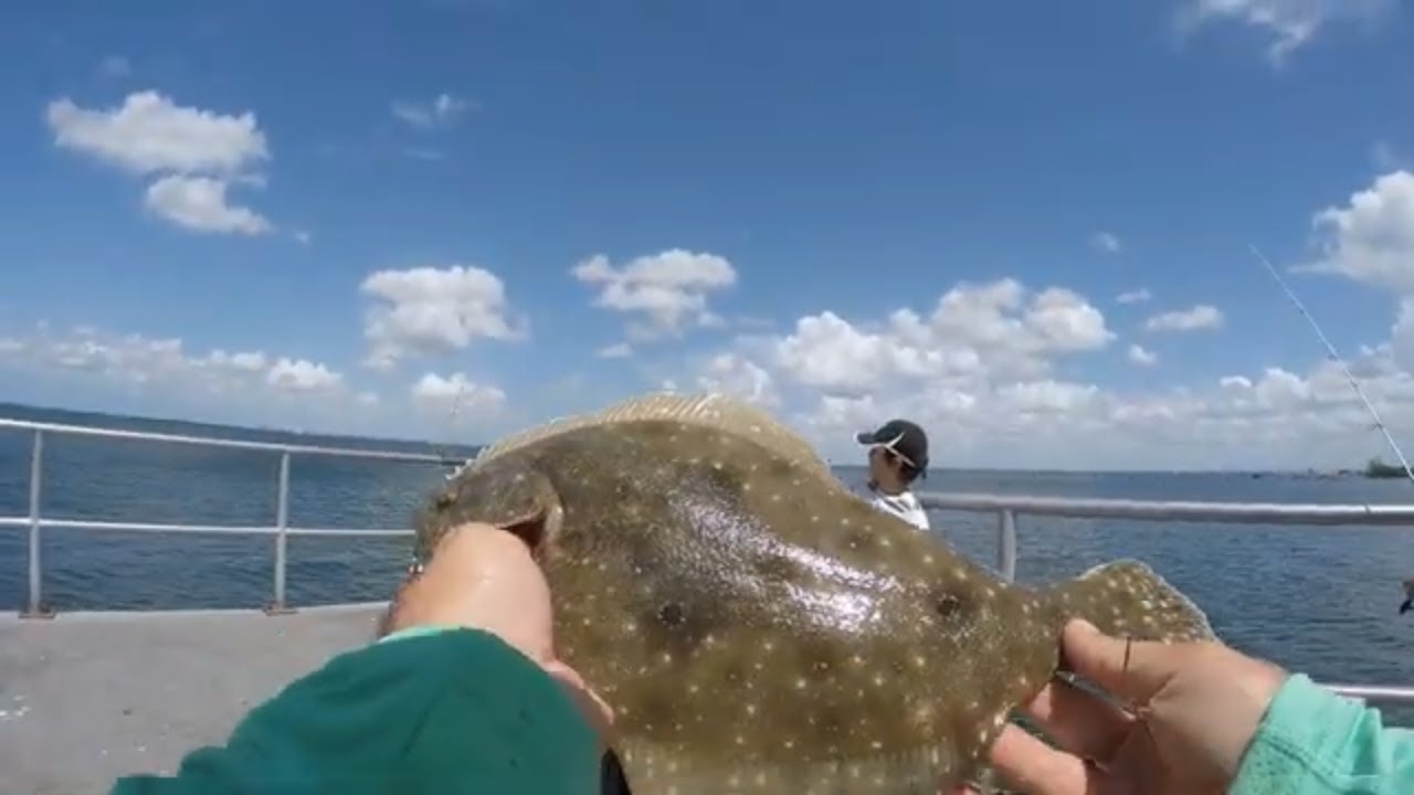 Awesome fishing day with Alex and Danny at Picnic island - YouTube