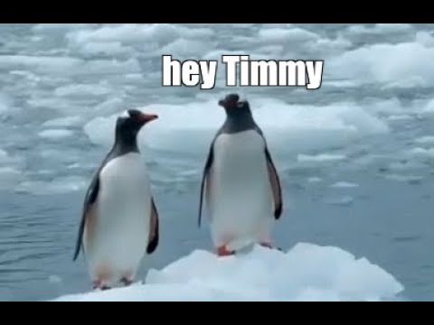 Derpy Penguins - YouTube