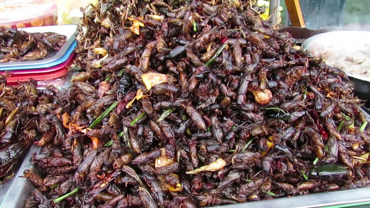 CAMBODIA STREET FOOD - THE BEST FIED INSECTS ON PHNOM PENH - YouTube