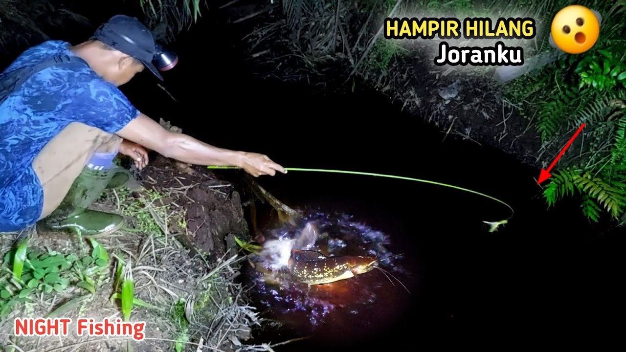 AIR PARIT CUMA SEJENGKAL IKAN DIPARIT INI MENJADI KELAPARAN || MANCING ...
