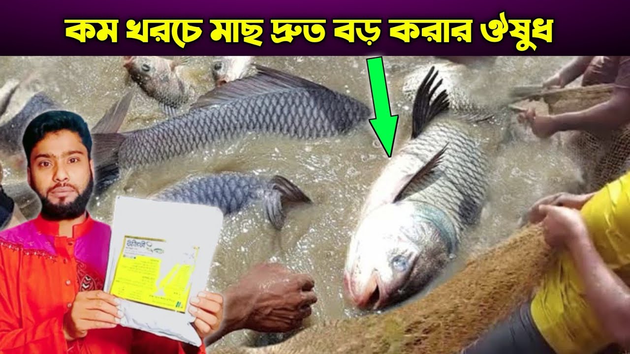 Fish Feed Formula Fish Vit fish-feed-formula-fish-vit
