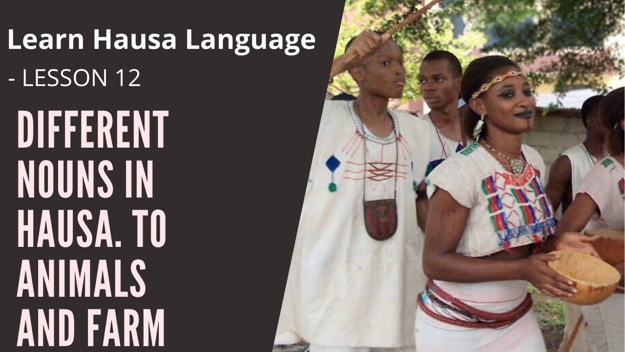 Learn Hausa Language Lesson 12 Different Nouns In Hausa to Animals learn-hausa-language-lesson-12-different-nouns-in-hausa-to-animals