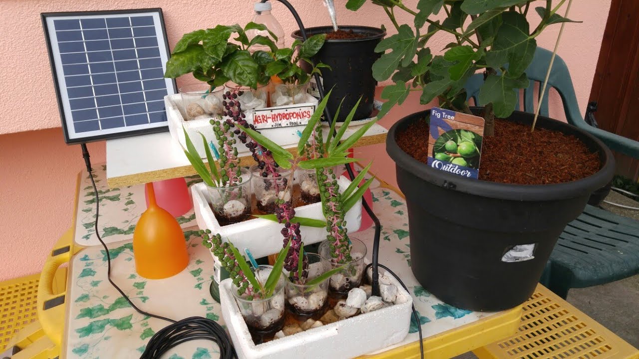AGRI-HYDROPONICS USING SOLAR AND COMPOST TEA - YouTube