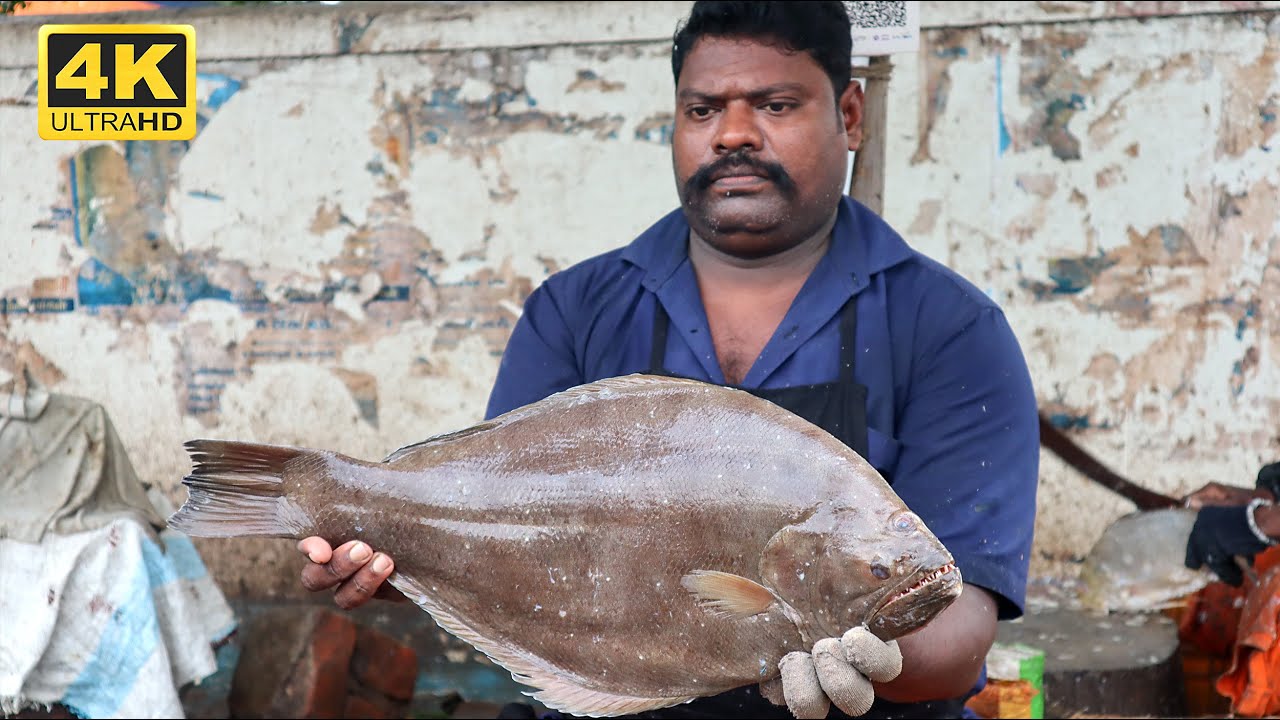 KASIMEDU SPEED SELVAM BIG NAAKU FISH 🐠 CUTTING | BIG FISH CUTTING | 4K ...