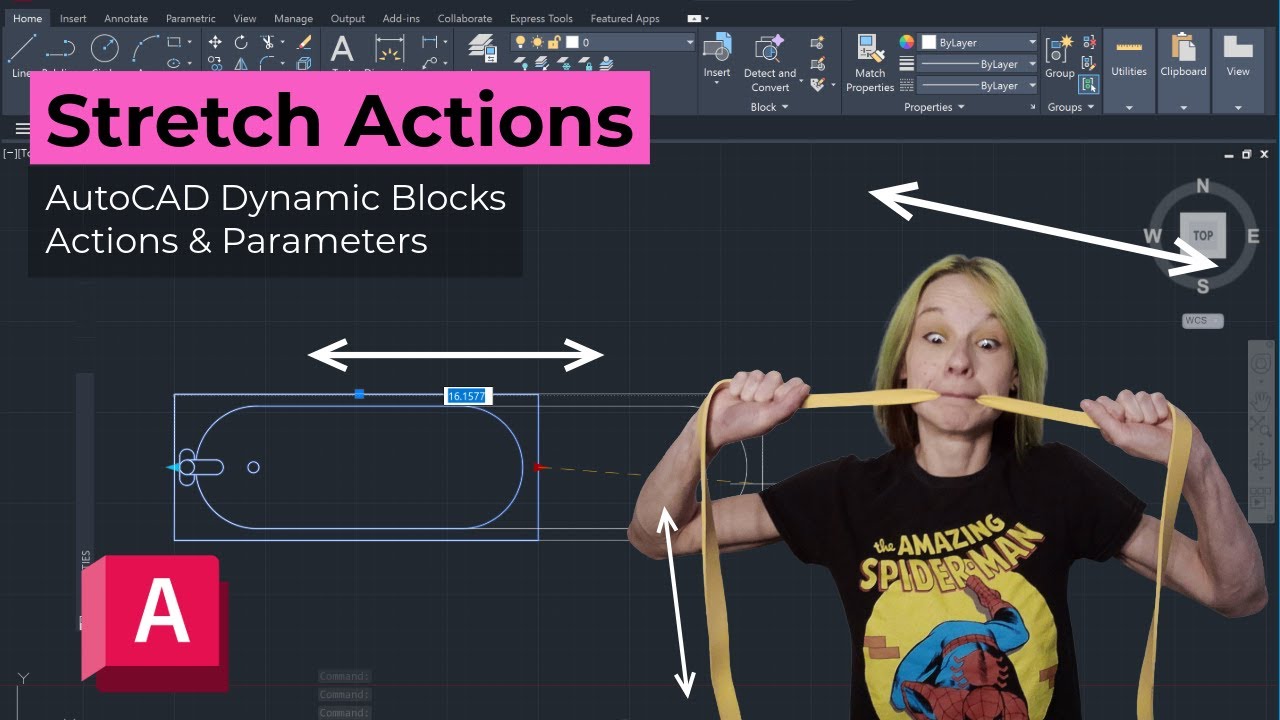 01 - Stretch Action - Dynamic Block Actions & Parameters 101 - FTF ...