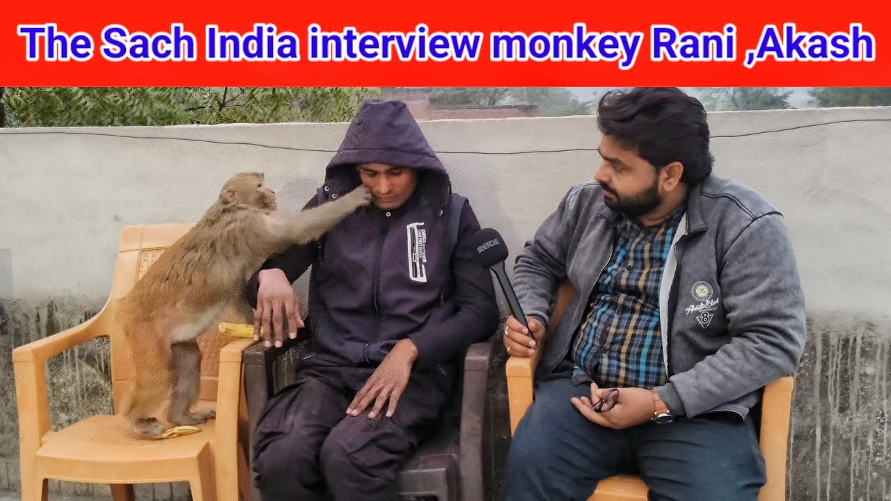 The sach india Interview monkey Rani , Akash ।। Akash Rani Story ...