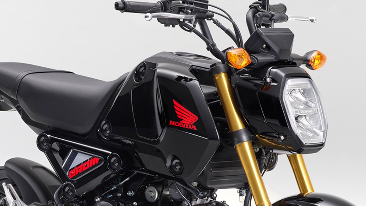Details New Honda Grom 2023, Price, Specs, Released - YouTube