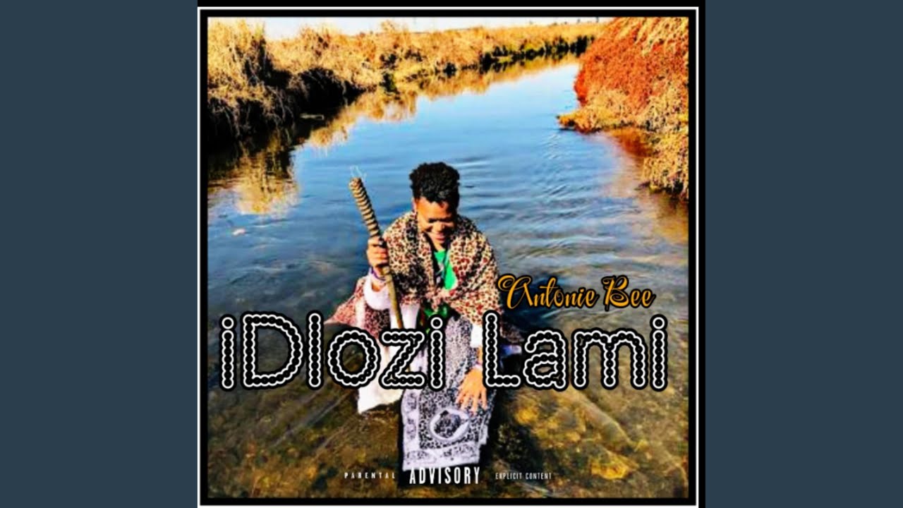 iDlozi Lami (feat. SII VKAY) - YouTube