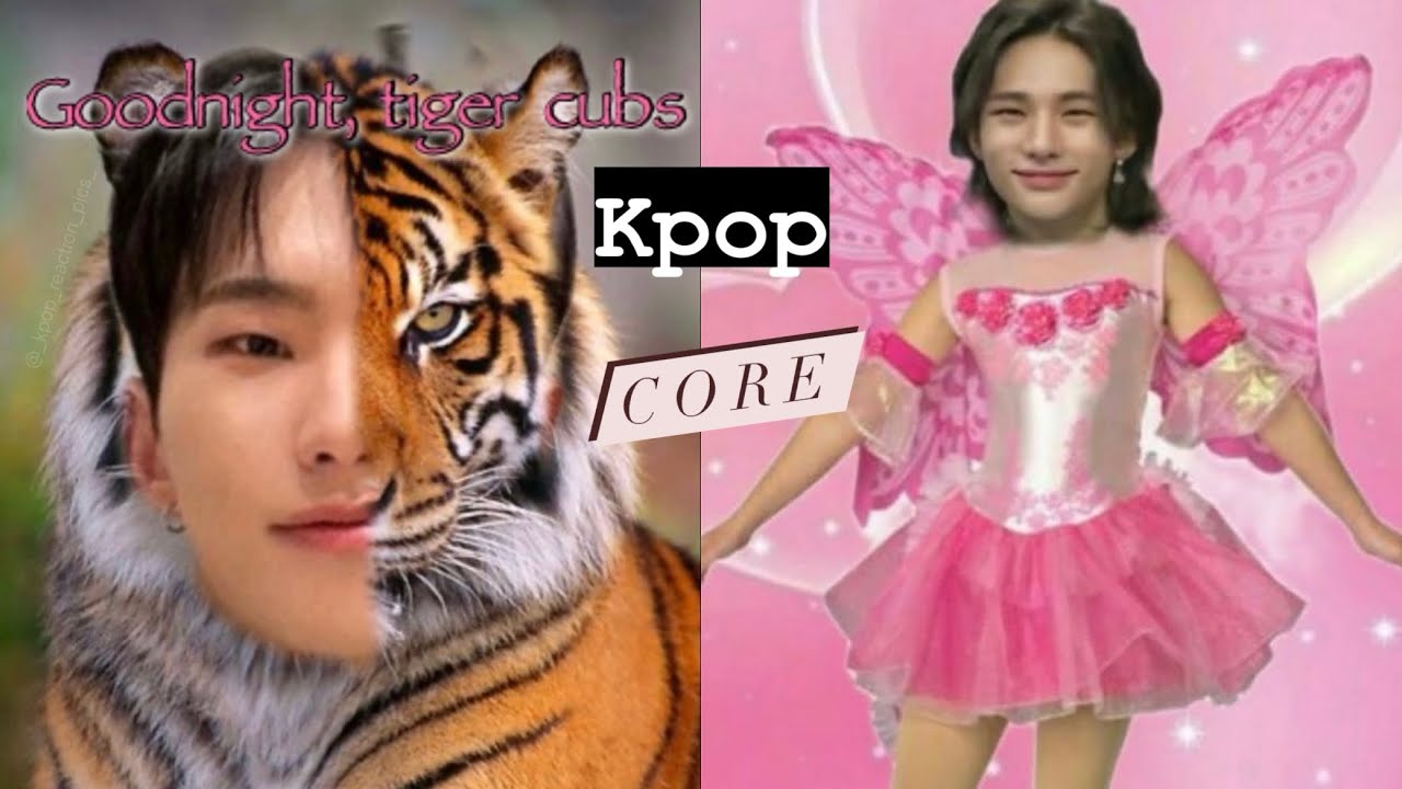 Kpop core (seventeen, P1harmony, Twice, ateez, straykids, enhypen and ...