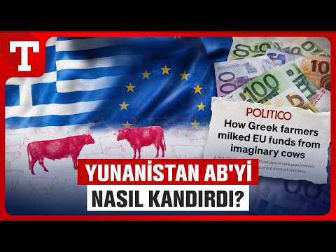 Hayvan Sayısı Azaldı, AB Parası Arttı! Politico ‘Hayali Hayvan’ Skandalını Yazdı – Türkiye Gazetesi