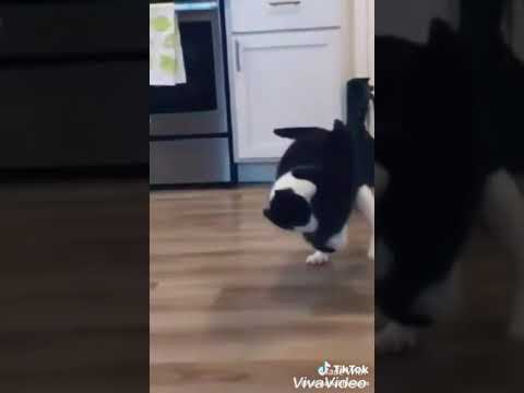 İlginç videolar