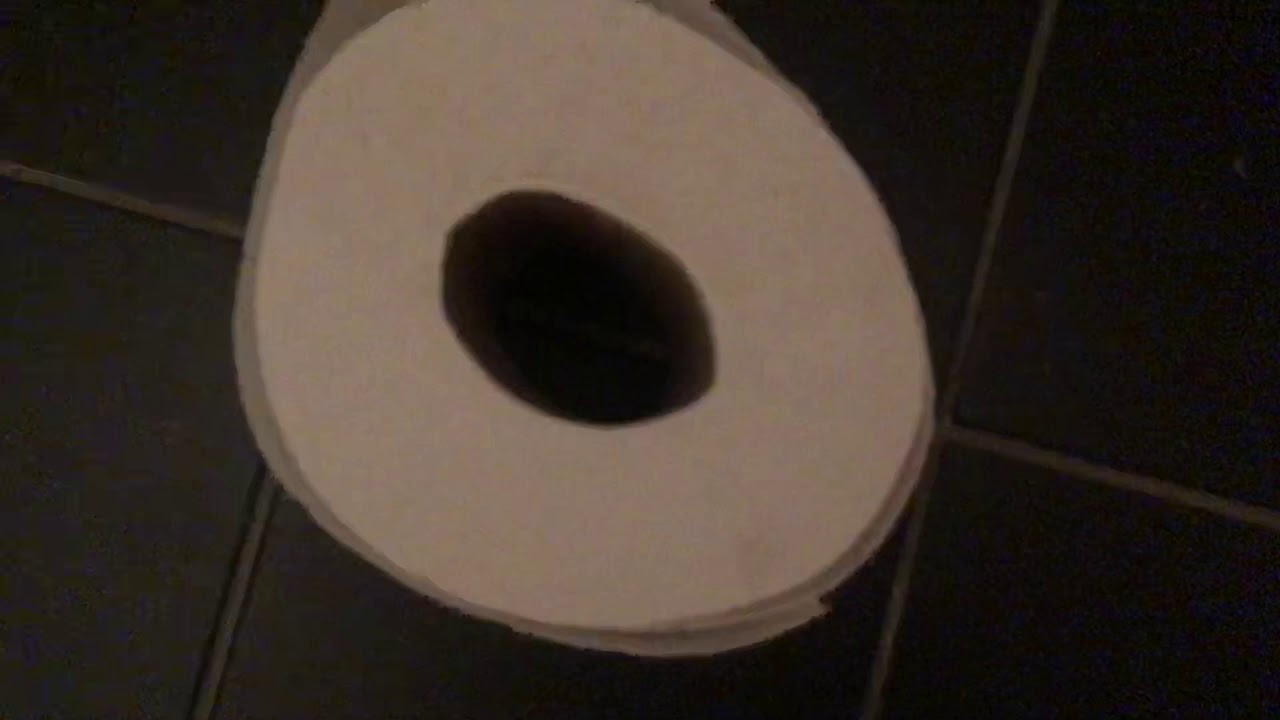 This my last roll of TP and my farts are wet - YouTube