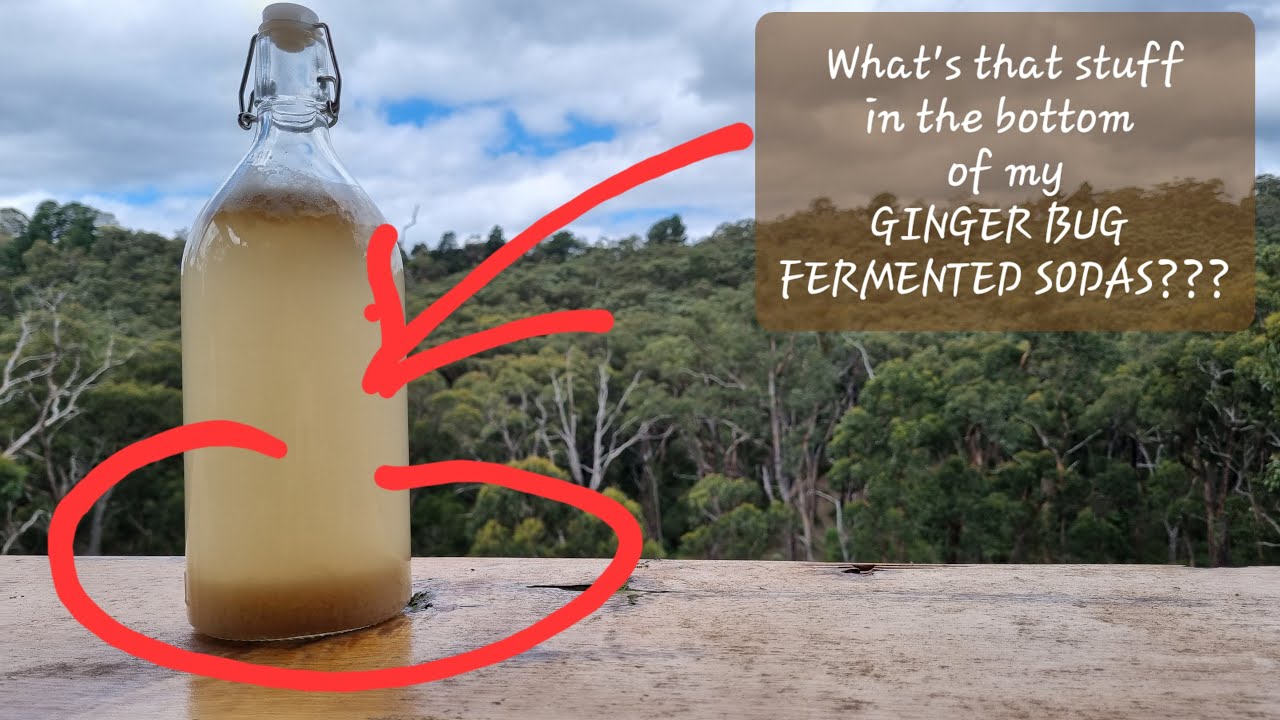 Sediment in Fermented Sodas - YouTube