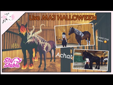 🔴 Live Achat : NEMAIN & LAVERNA ! serveur 5 - [Star Stable Online ...