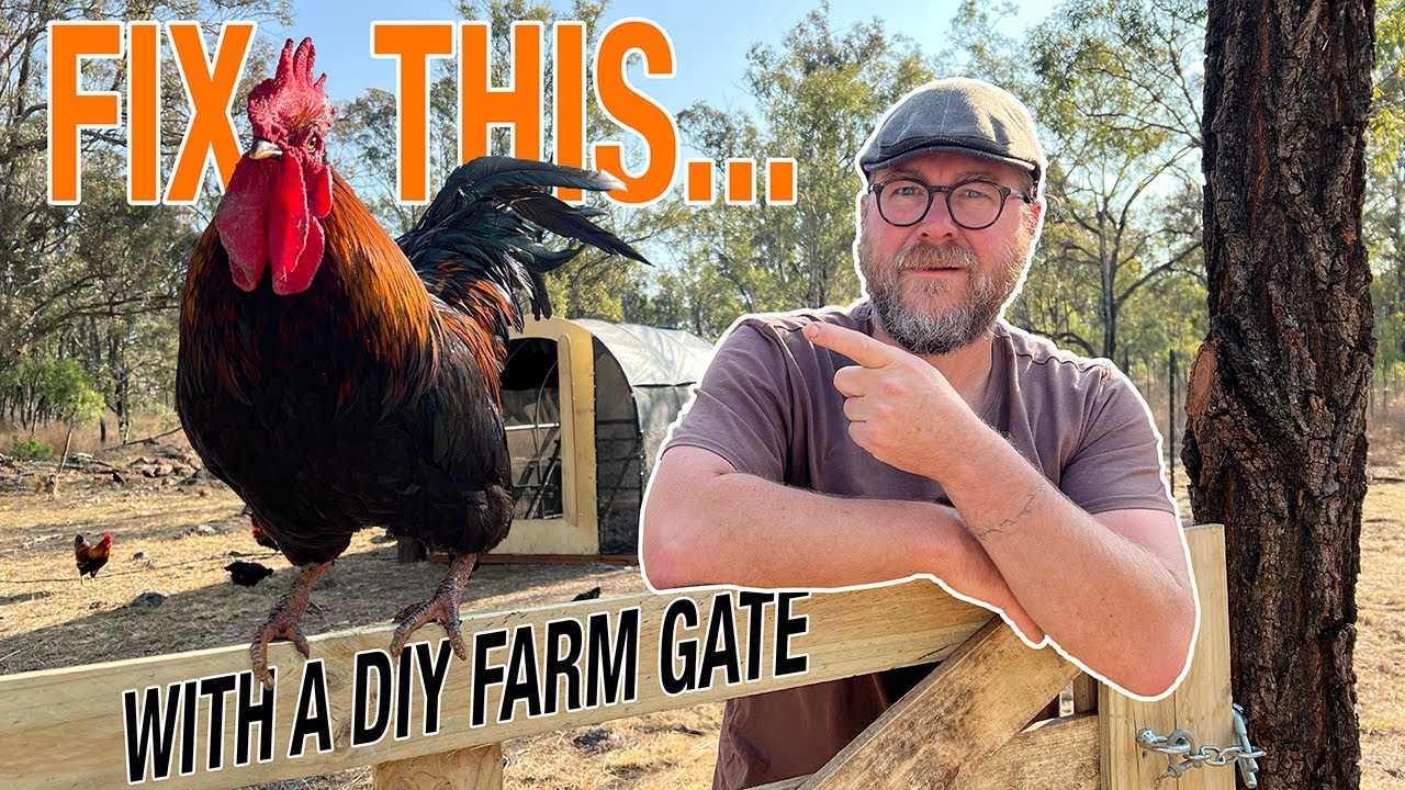 This DIY Farm Gate is going to help our chicken problem - YouTube