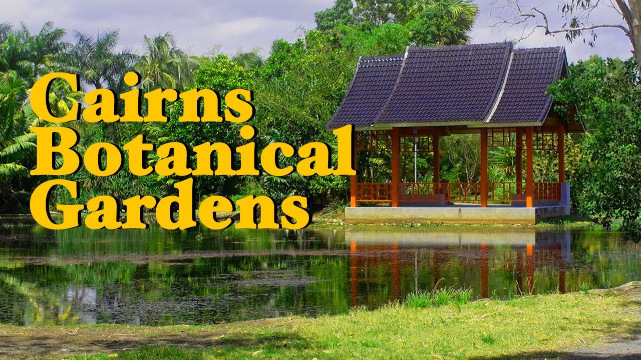 The Cairns Botanic Gardens & Tanks Arts Centre : The Best FREE thing to ...