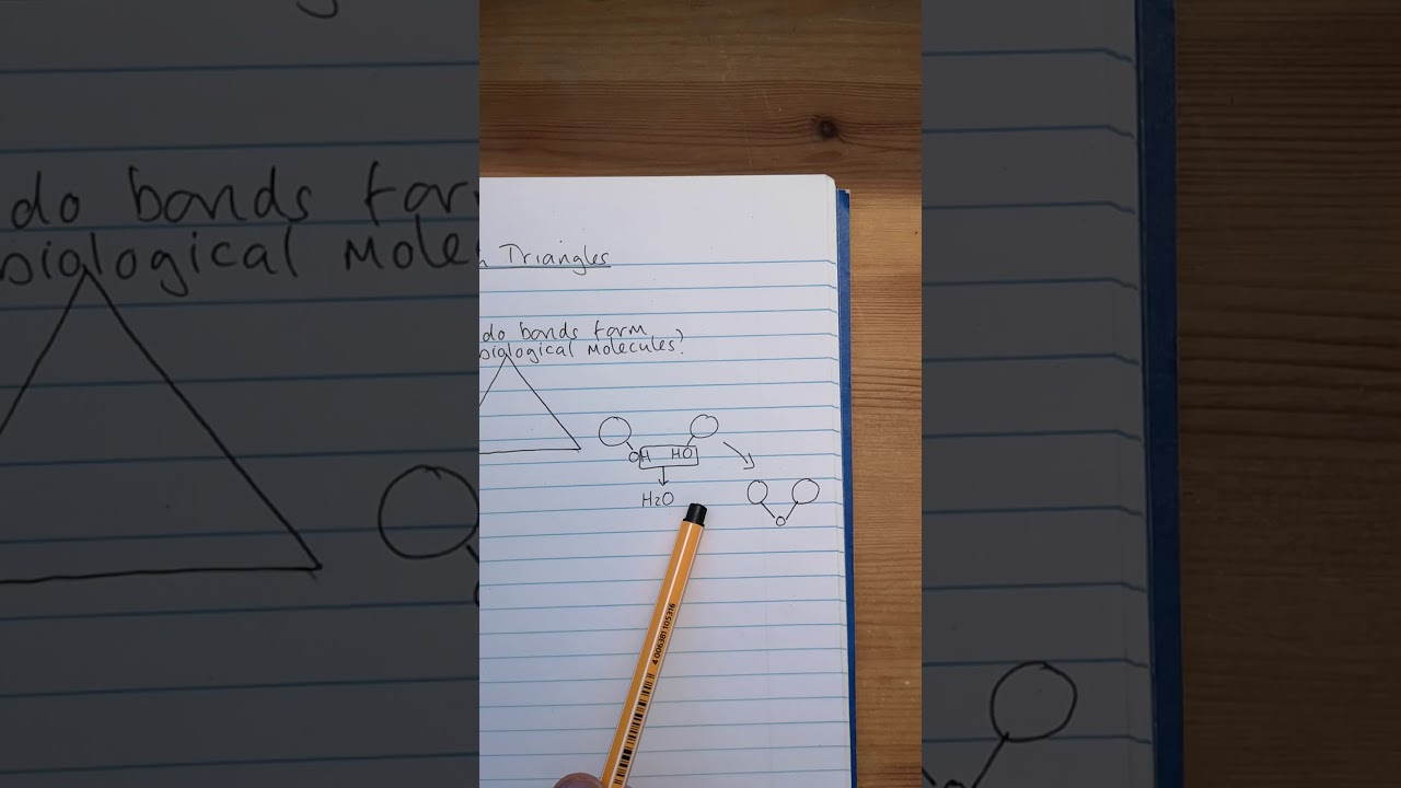 Study skills - Revision triangles - YouTube