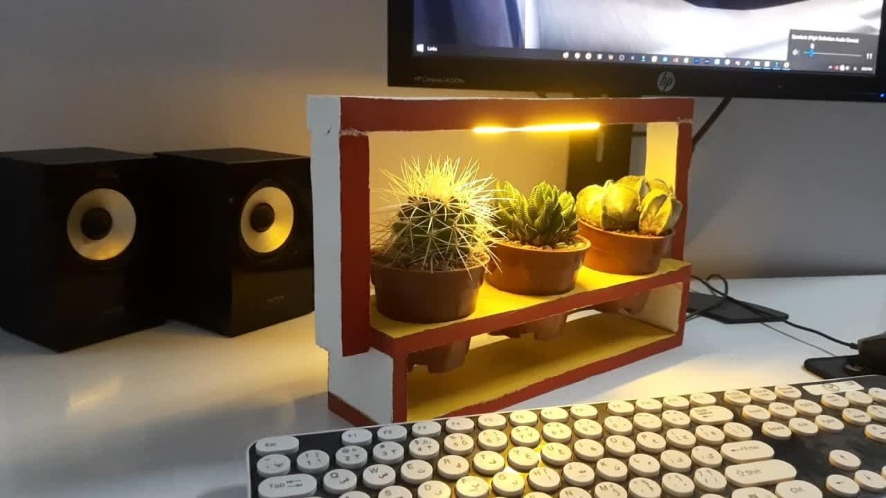 "Bring Magic to Your Room: Light-Up Cactus Planters That Shine in the ...