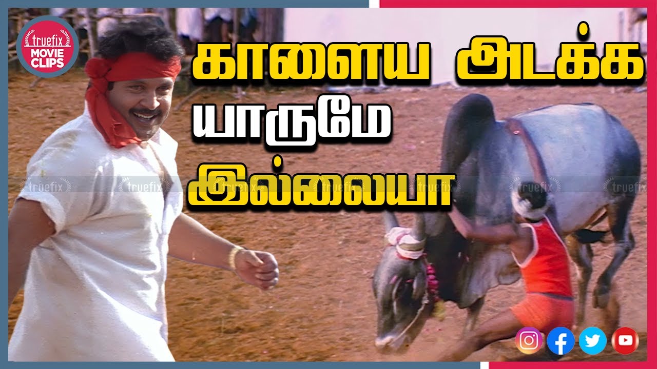 Rajakumaran Tamil Movie Scene | Prabhu Nadhiya Meena |Jallikattu Pongal ...