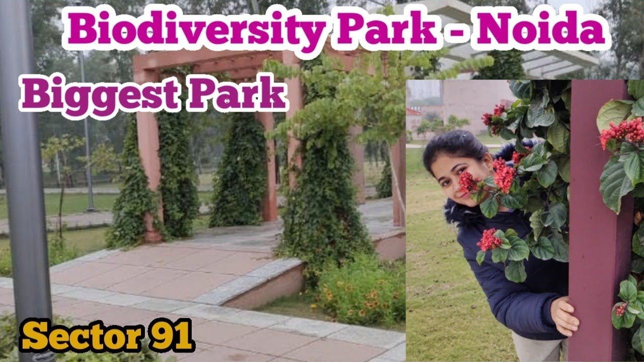 Biodiversity Park Noida Sector 91 | Biggest Park in Noida near Sector ...