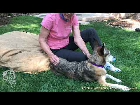 Tui Na Technique - Na Fa Small Animal - YouTube