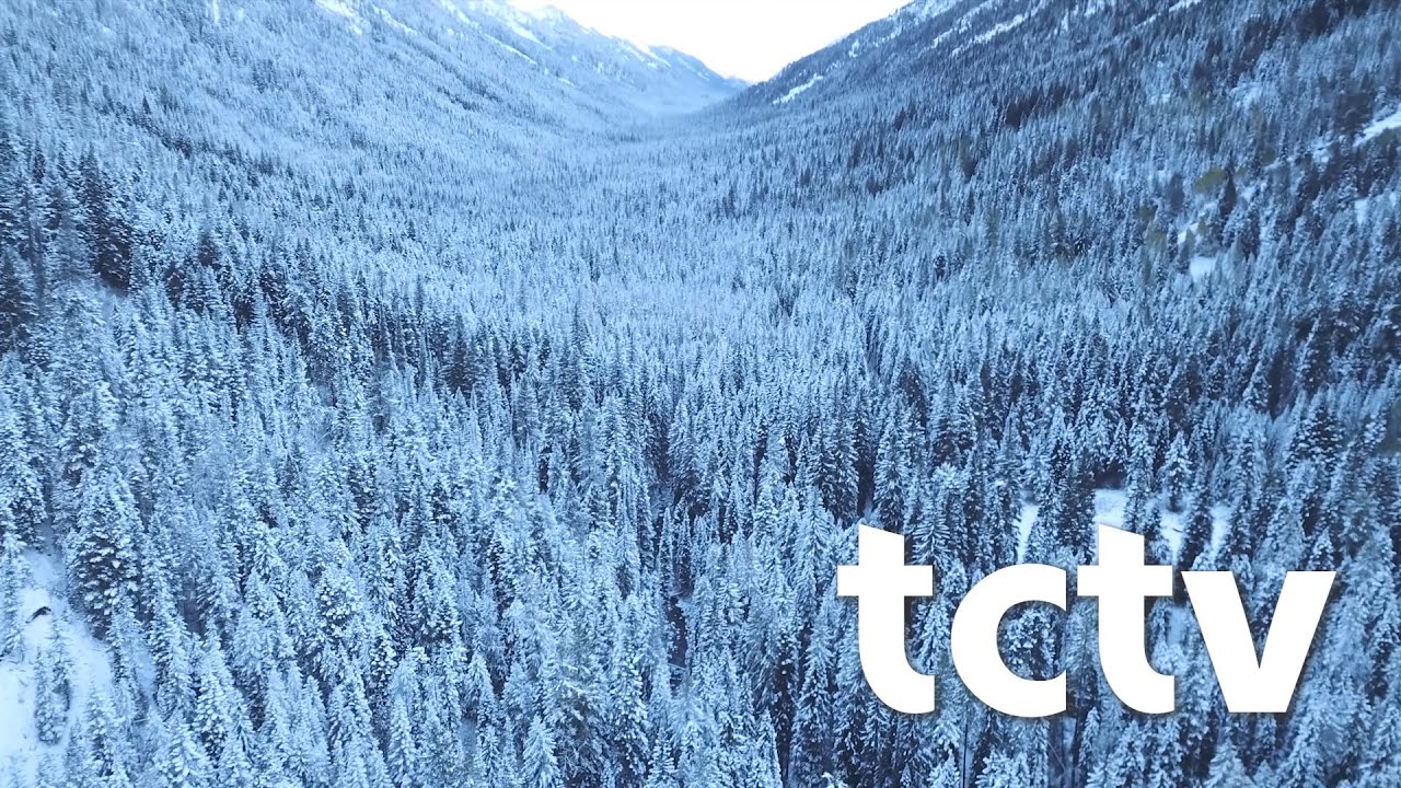 Matilda, Swim Vlog, Sky Dancers Food Drive | Timber Creek Today - Dec ...