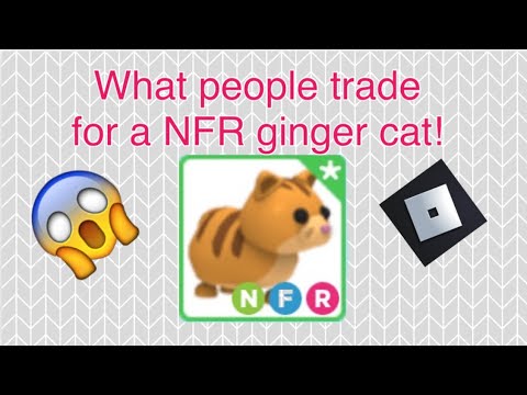 Seeing what people trade for NFR ginger cat! - YouTube