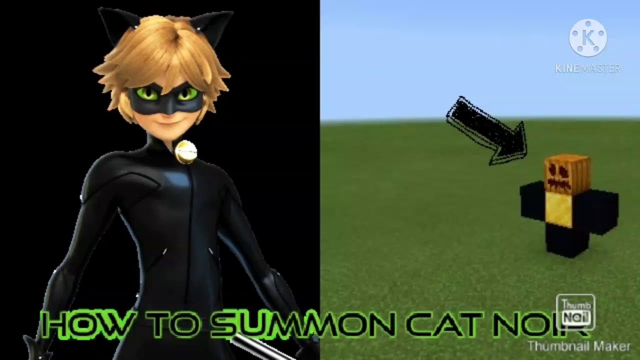 how to summon Cat Noir in Minecraft - YouTube