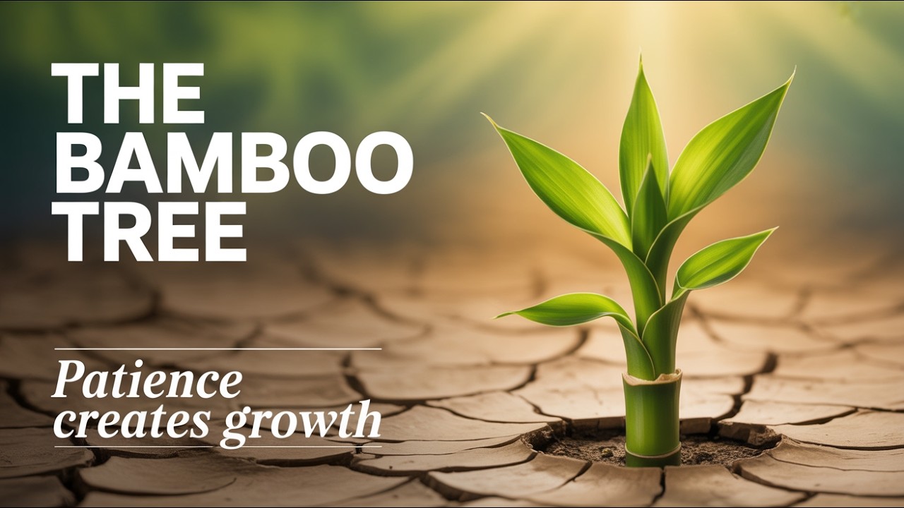 The Bamboo Tree – A Story About Patience & Growth | Inspirational Life ...