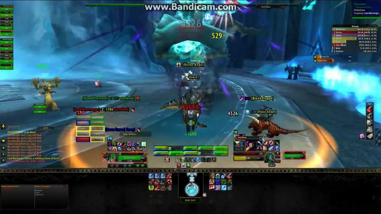 Serenity vs Lord Marrowgar {solo tank with hunter pet offtank} (molten ...
