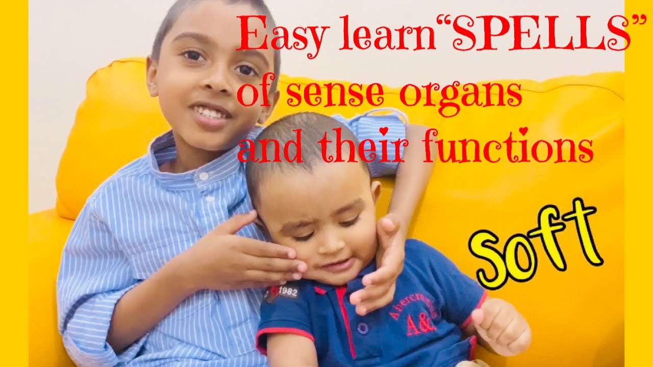 Five sense organs and their functions with spells - YouTube