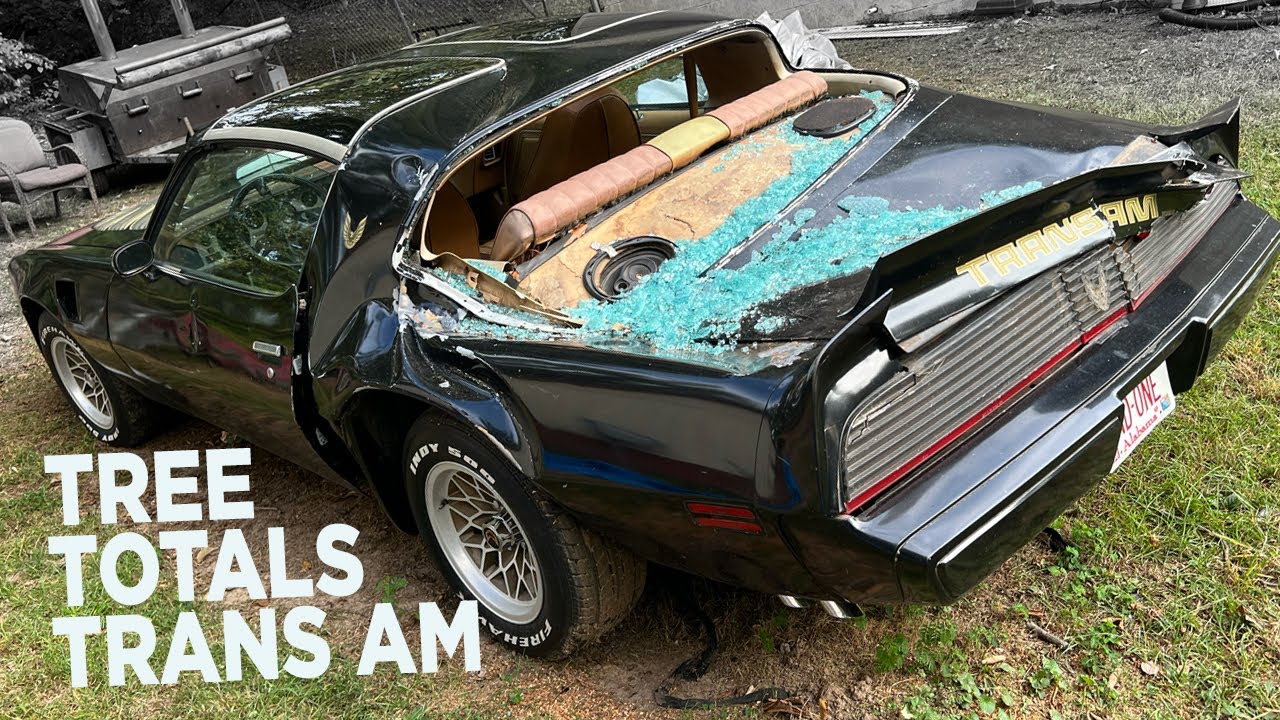 1979 Pontiac Trans Am Totaled by Tree in Alabama - YouTube