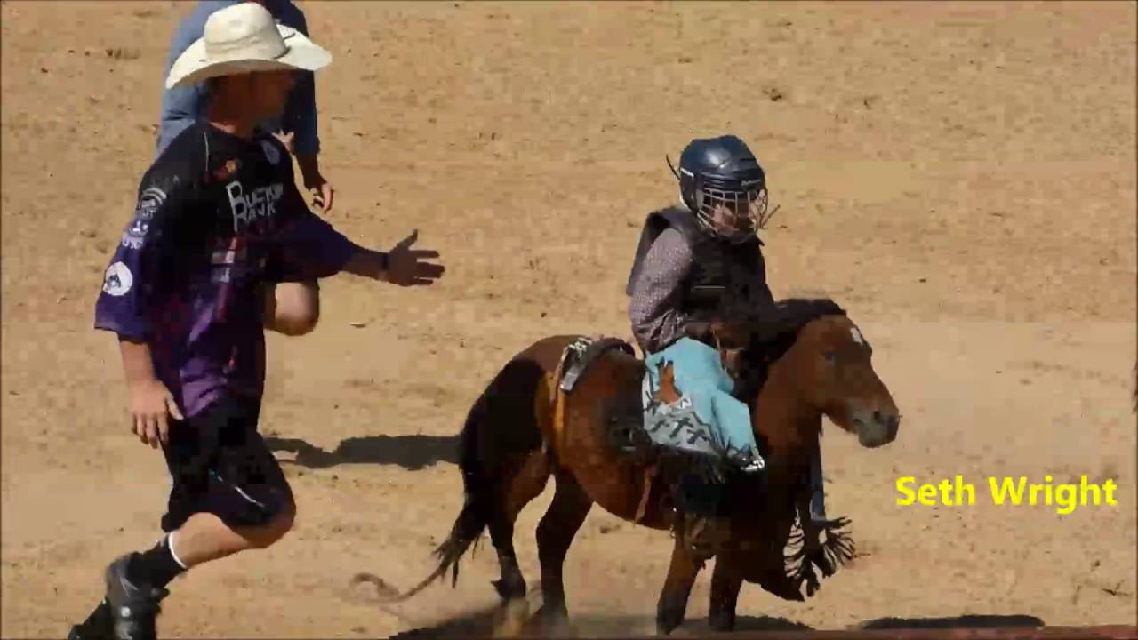 Southeastern Circuit Mini Bareback Finals - YouTube