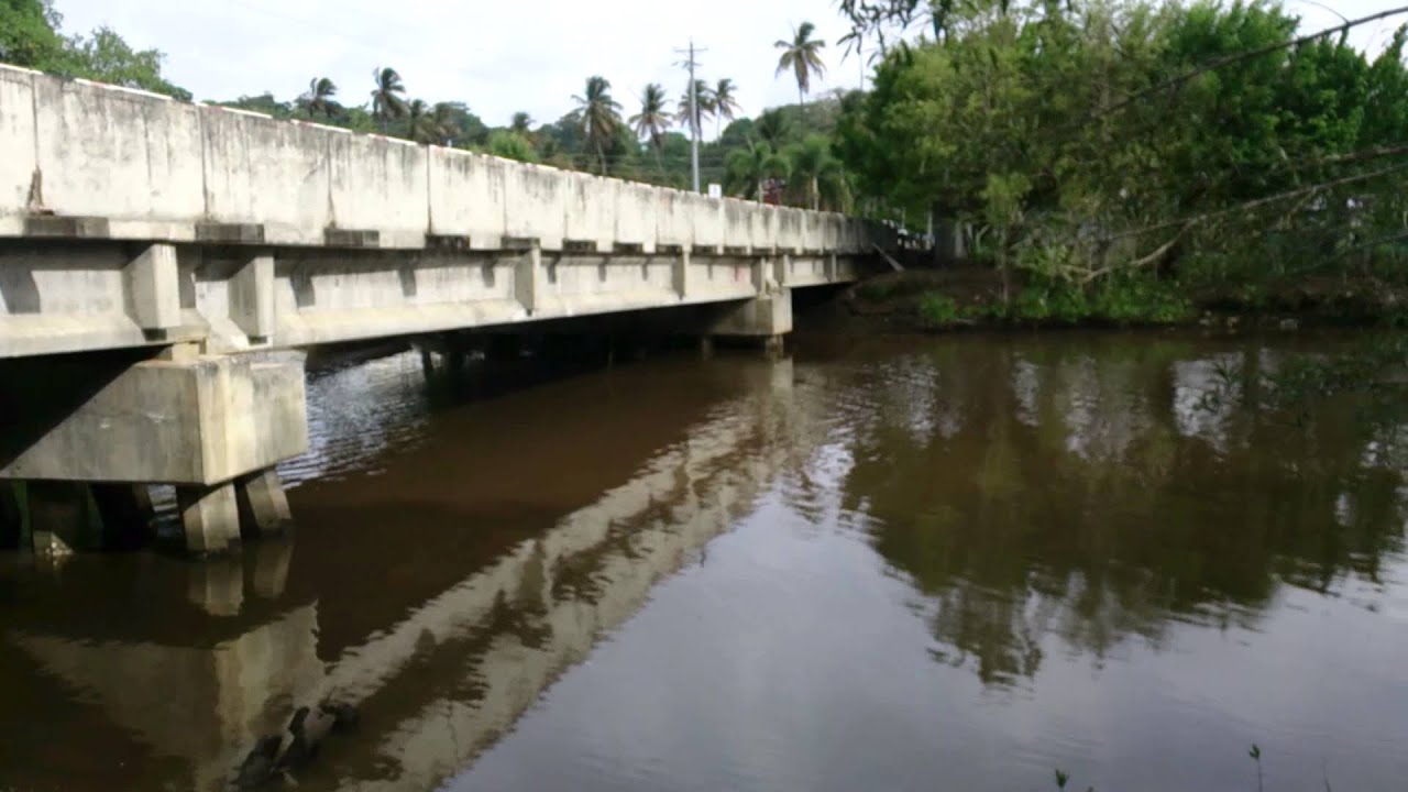 @ Ortorie River, Mayaro 12.7.2015 - YouTube