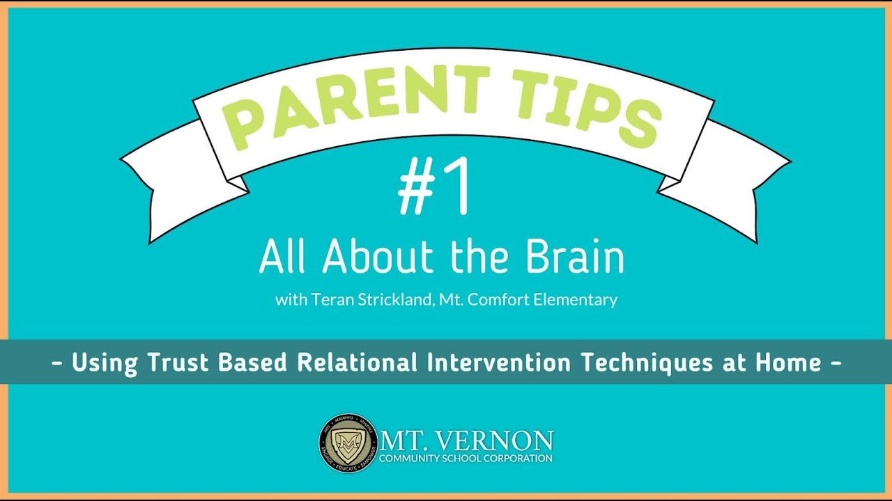 TBRI Tip #1 for Mt. Vernon Parents/Guardians - "All About the Brain ...