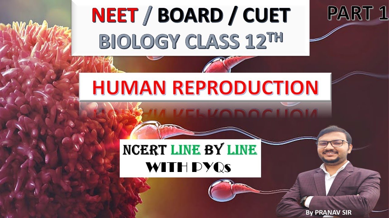 HUMAN REPRODUCTION | NCERT Class 12th Biology | Detailed | PART 1 | # ...