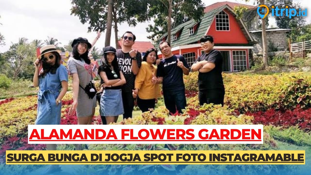 Alamanda Jogja Flower Garden, Taman Bunga Cantik & Instagramable di ...