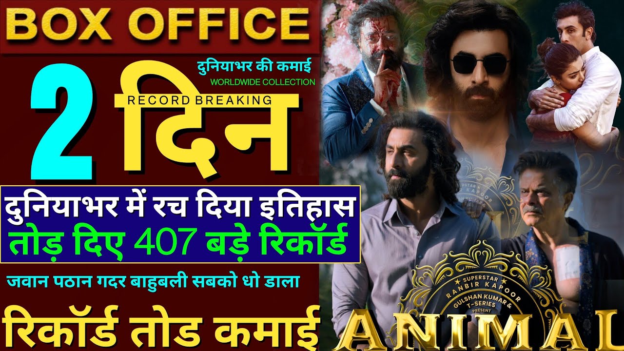 Animal Box Office Collection, Animal 1st Day Collection, Animal ...