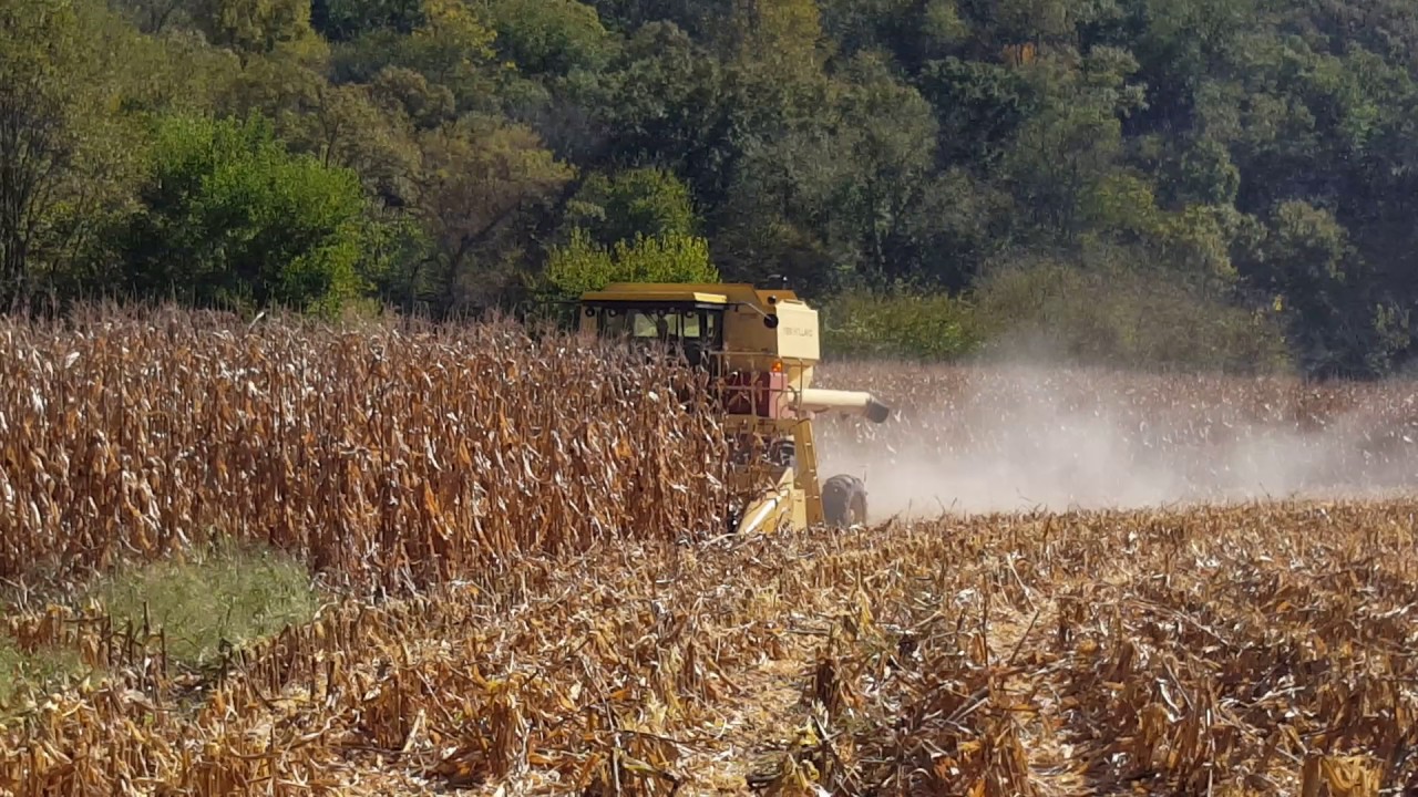 High Moisture Corn 2016 - YouTube